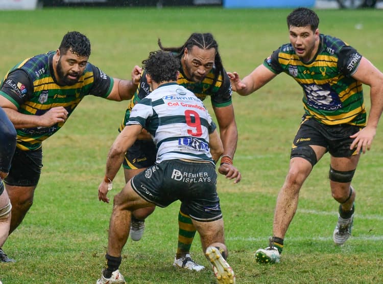 Fixtures released for the 2024 Charter Hall Shute Shield season
