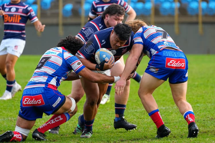 Fixtures released for the 2024 Charter Hall Shute Shield season