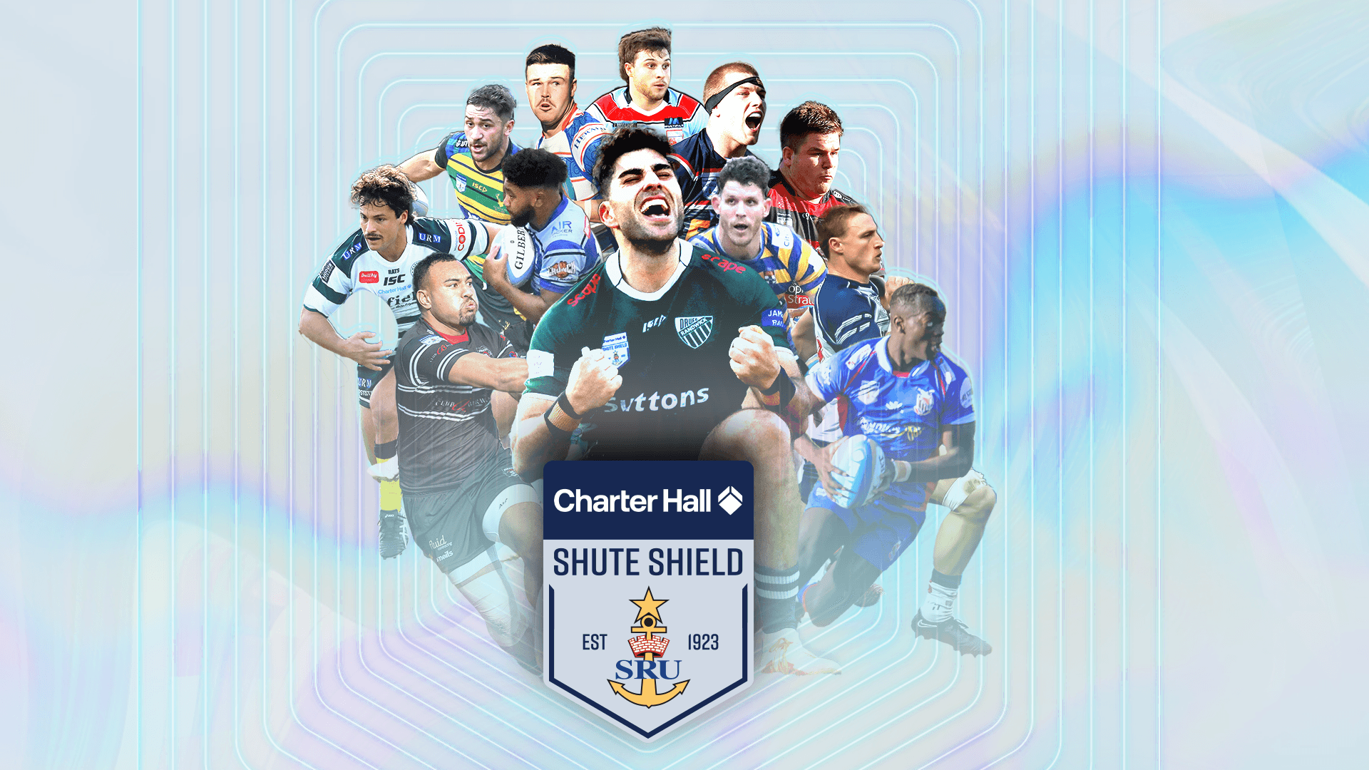 Shute Shield | Shute Shield