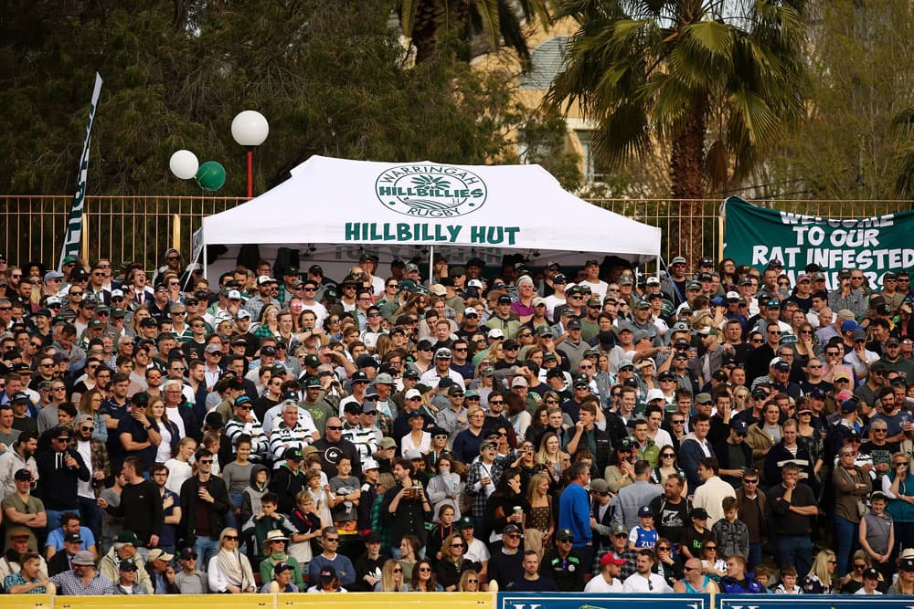 Shute Shield | News | Jersey | Game | Shute Shield